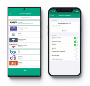 Privileged Access Management & Password Management | CyberFOX